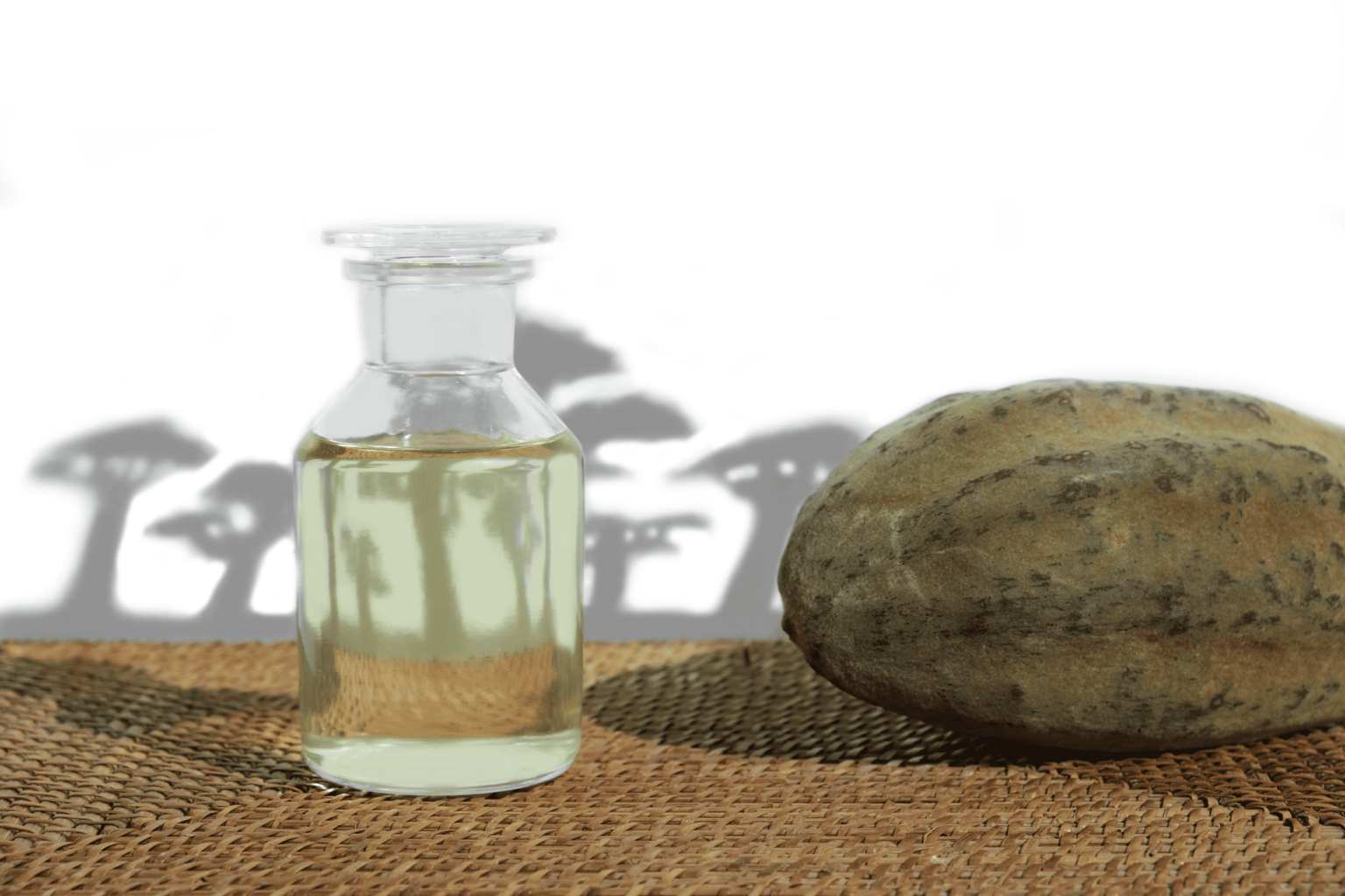 Evonik Launches ECOHANCE® SoftBaobab Oil for Natural Cosmetic ...